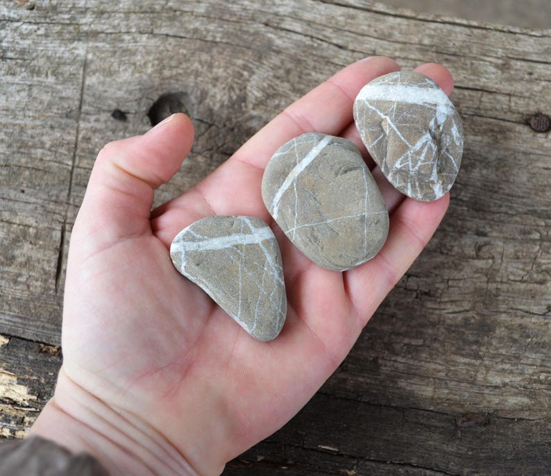Quartz Vein River Rocks: 1.5"-1.875" Beige Gray Banded Beach Stones ...