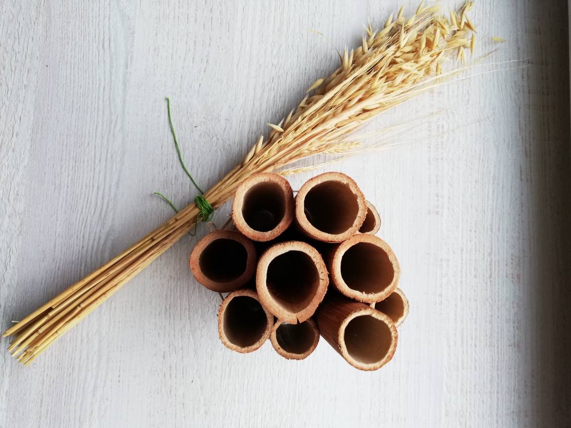 Set of 11 Garden bamboo sticks Natural decor Table | Etsy