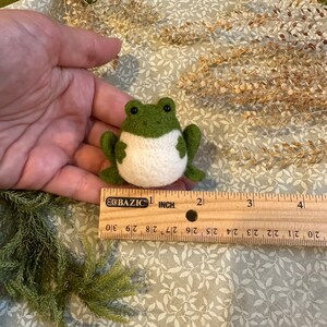 Felted Cute Frog - Needle Felted Animal - Felted Miniature - Felted ...