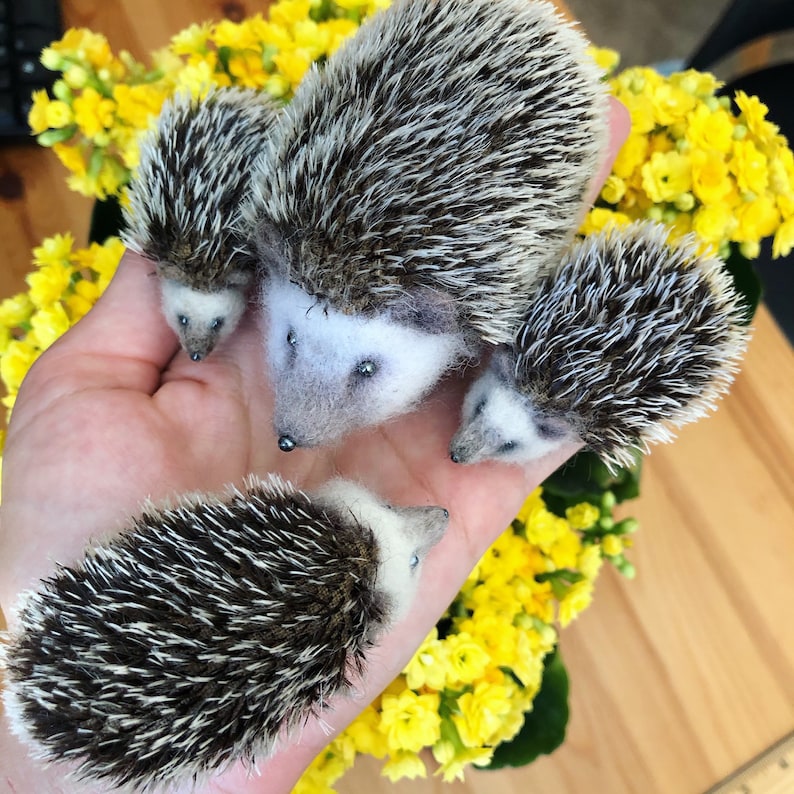 Miniature hedgehog Felted Hedgehog Cute hedgehog | Etsy