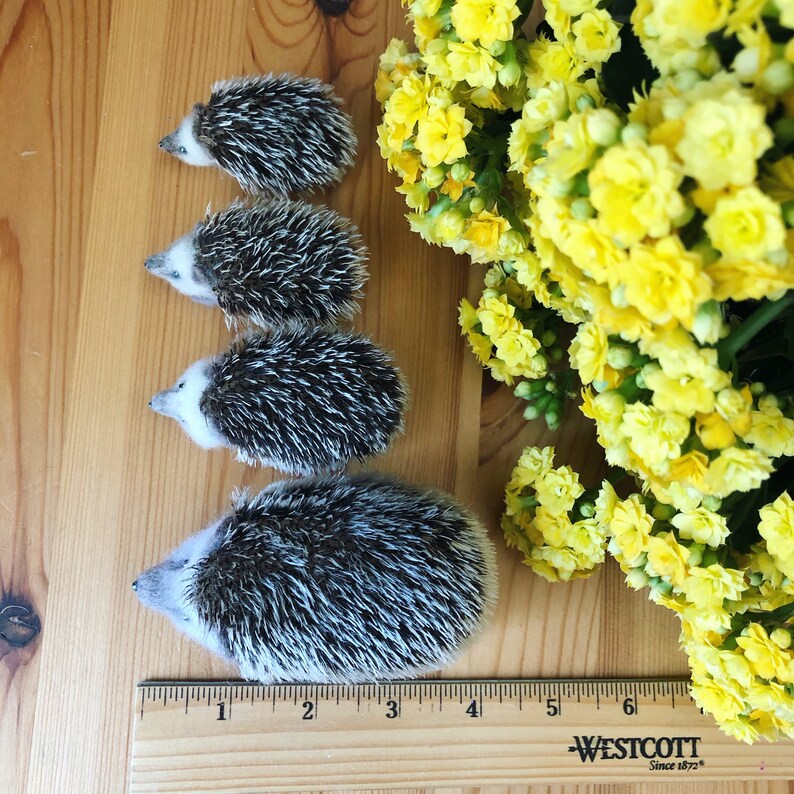 Miniature hedgehog Felted Hedgehog Cute hedgehog | Etsy