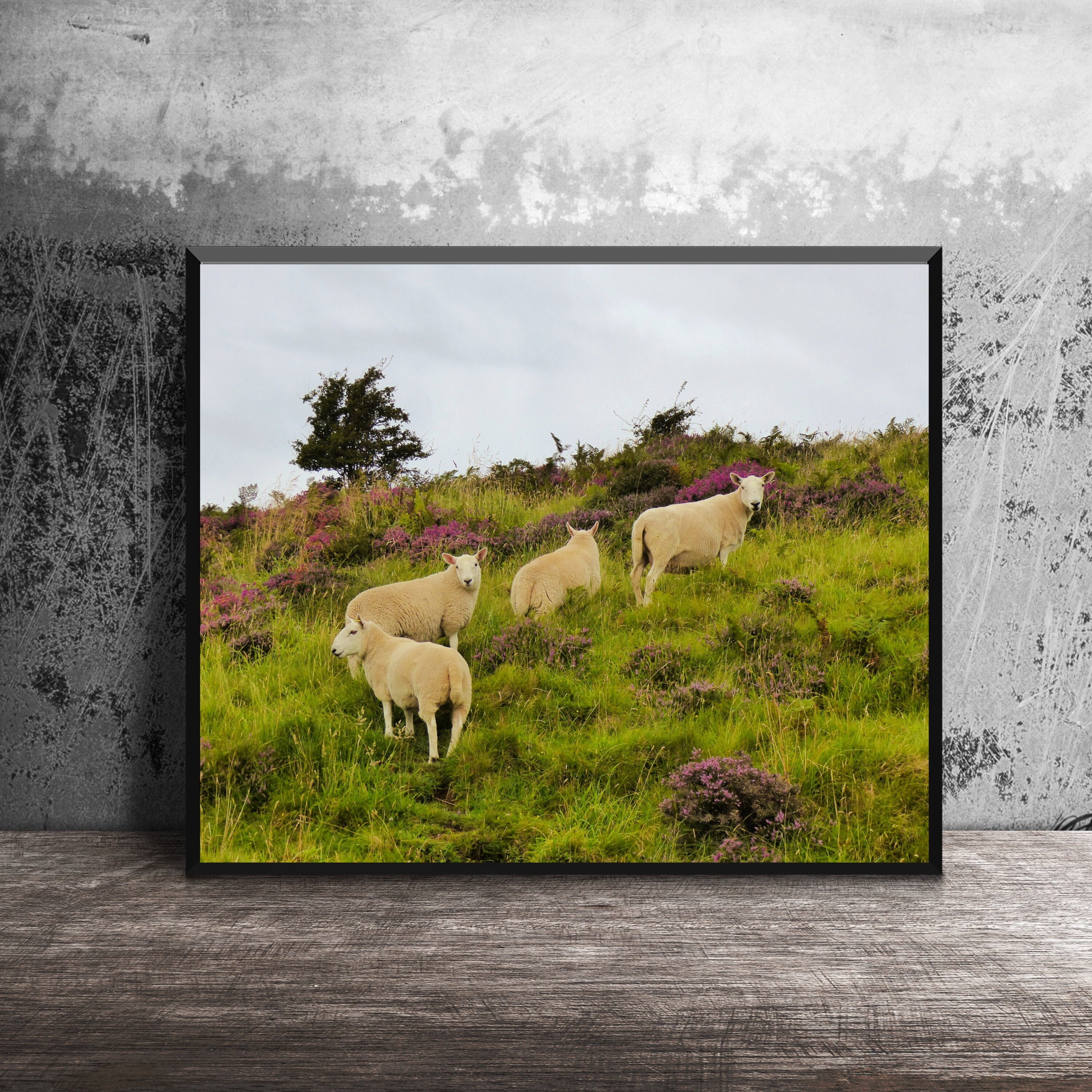 Sheep in Heather Scotland Photo Isle of Skye Photo Print | Etsy