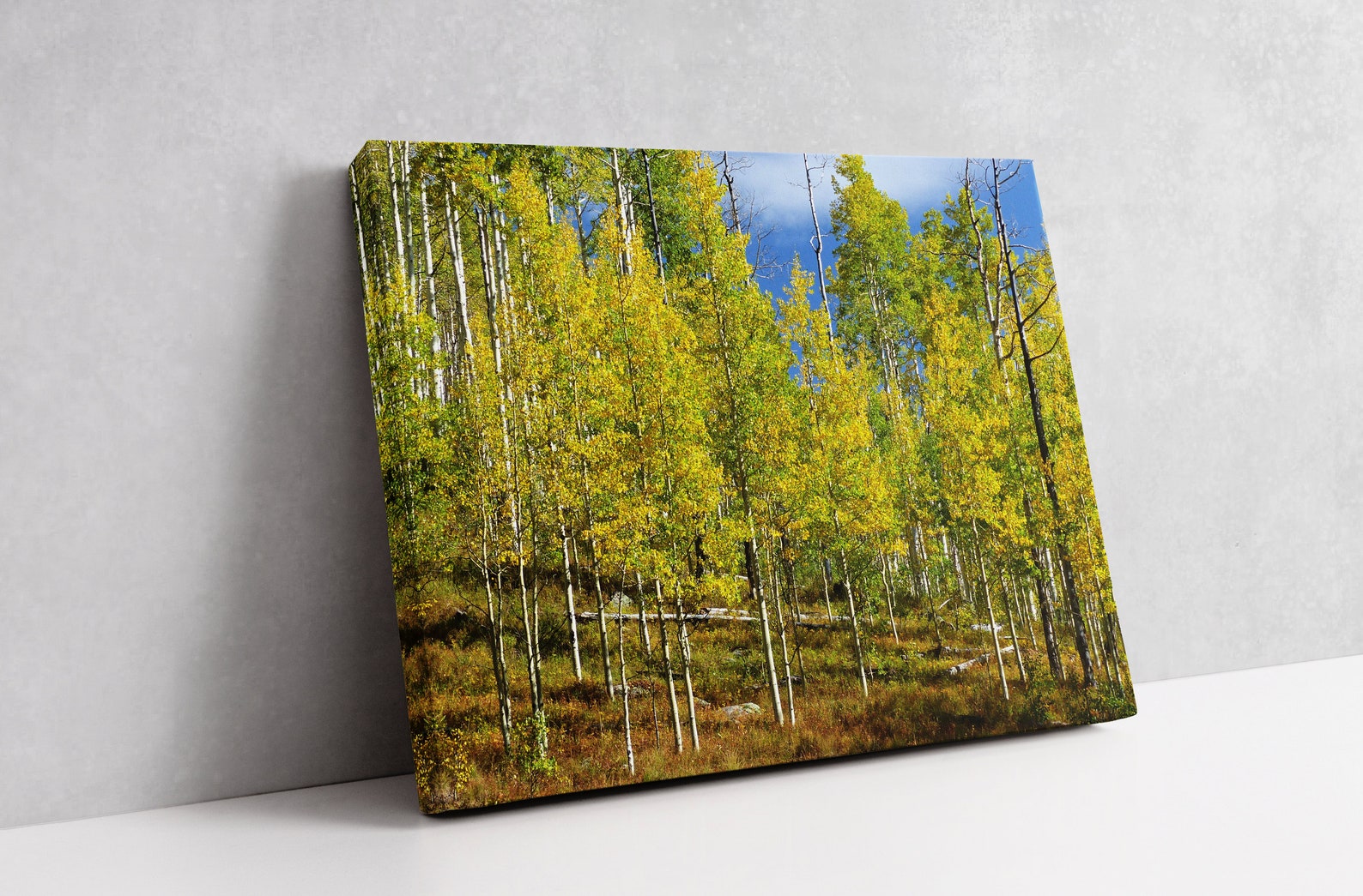 Aspen Trees Photo, Photo Print, Aspen Print, Fall Colors, Home Decor ...