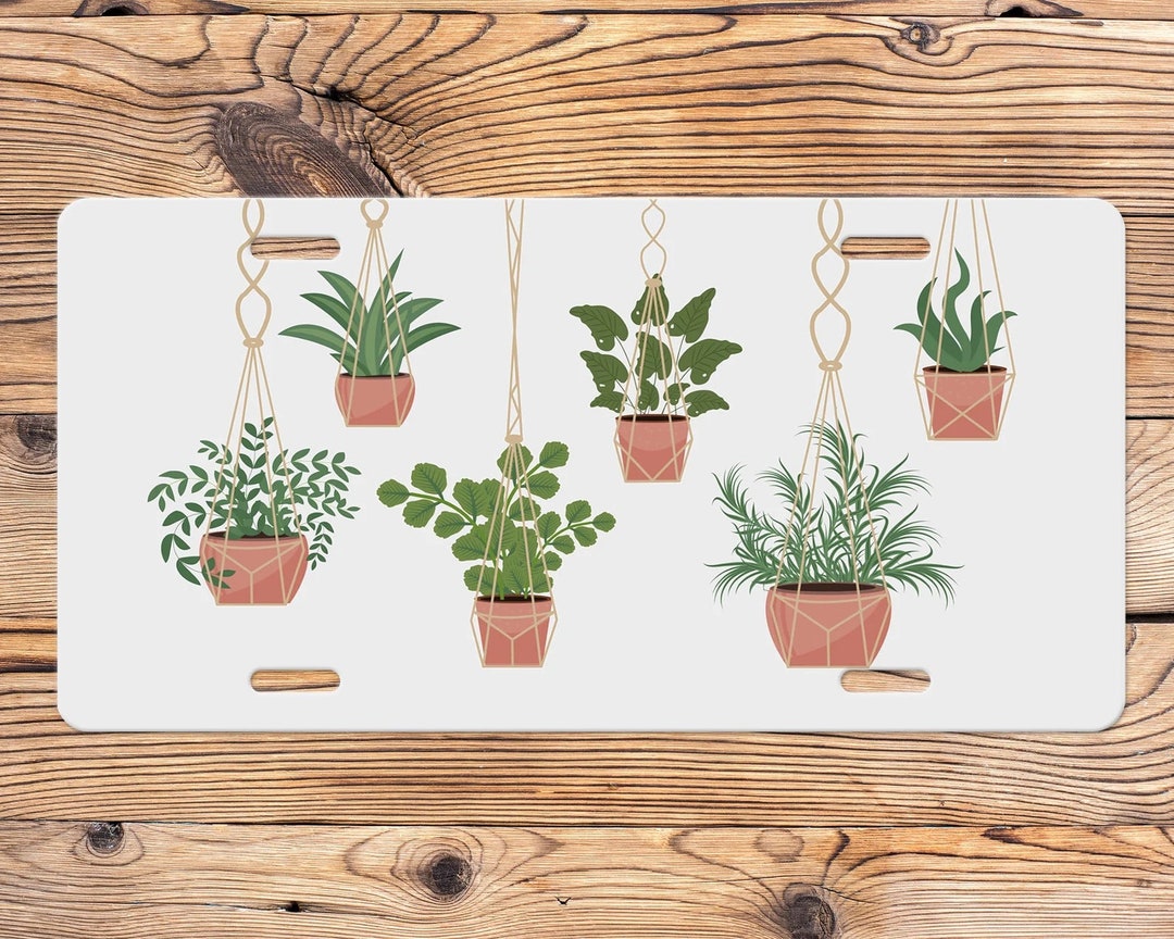 Hanging Plants Boho License Plate - Etsy