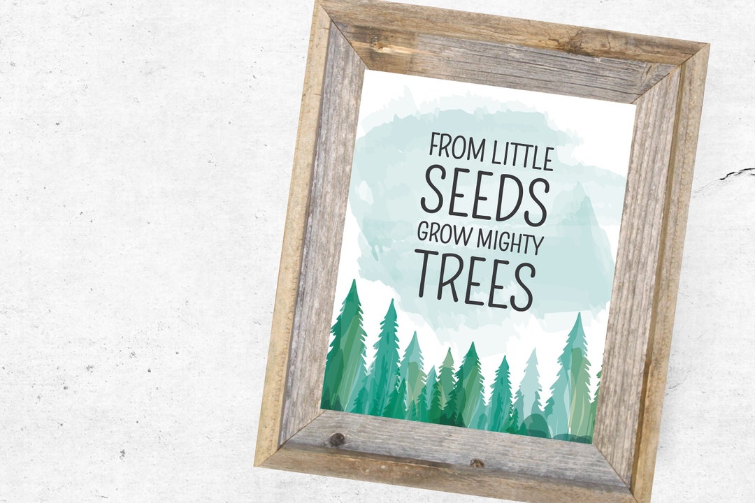 From Little Seeds Grow Mighty Trees Nursery Printable, Woodlands ...