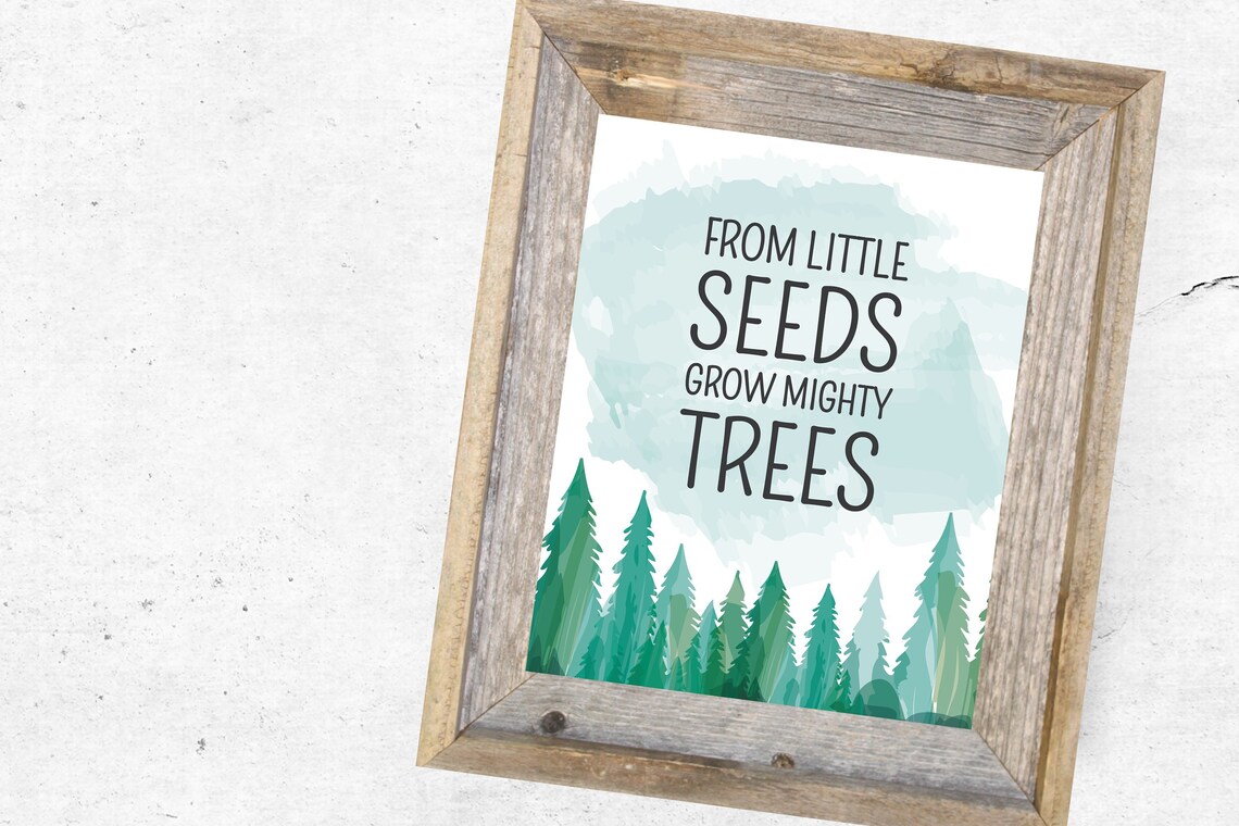 From Little Seeds Grow Mighty Trees Nursery Printable, Woodlands ...
