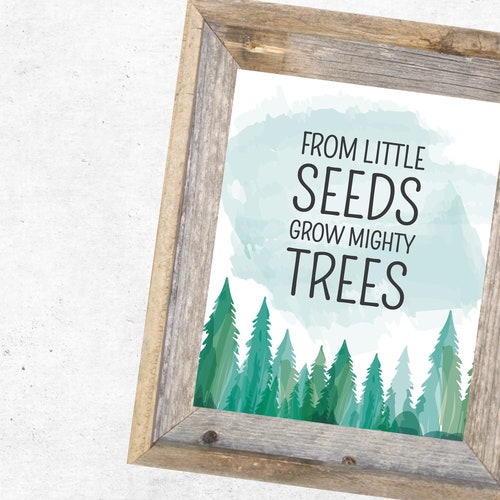 From Little Seeds Grow Mighty Trees Nursery Printable - Etsy