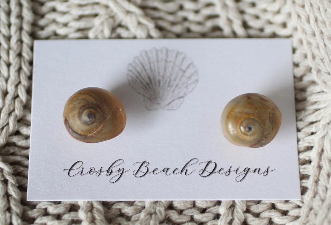 Handmade Cape Cod Moon Snail Shark Eye Shell Sterling Silver Stud ...