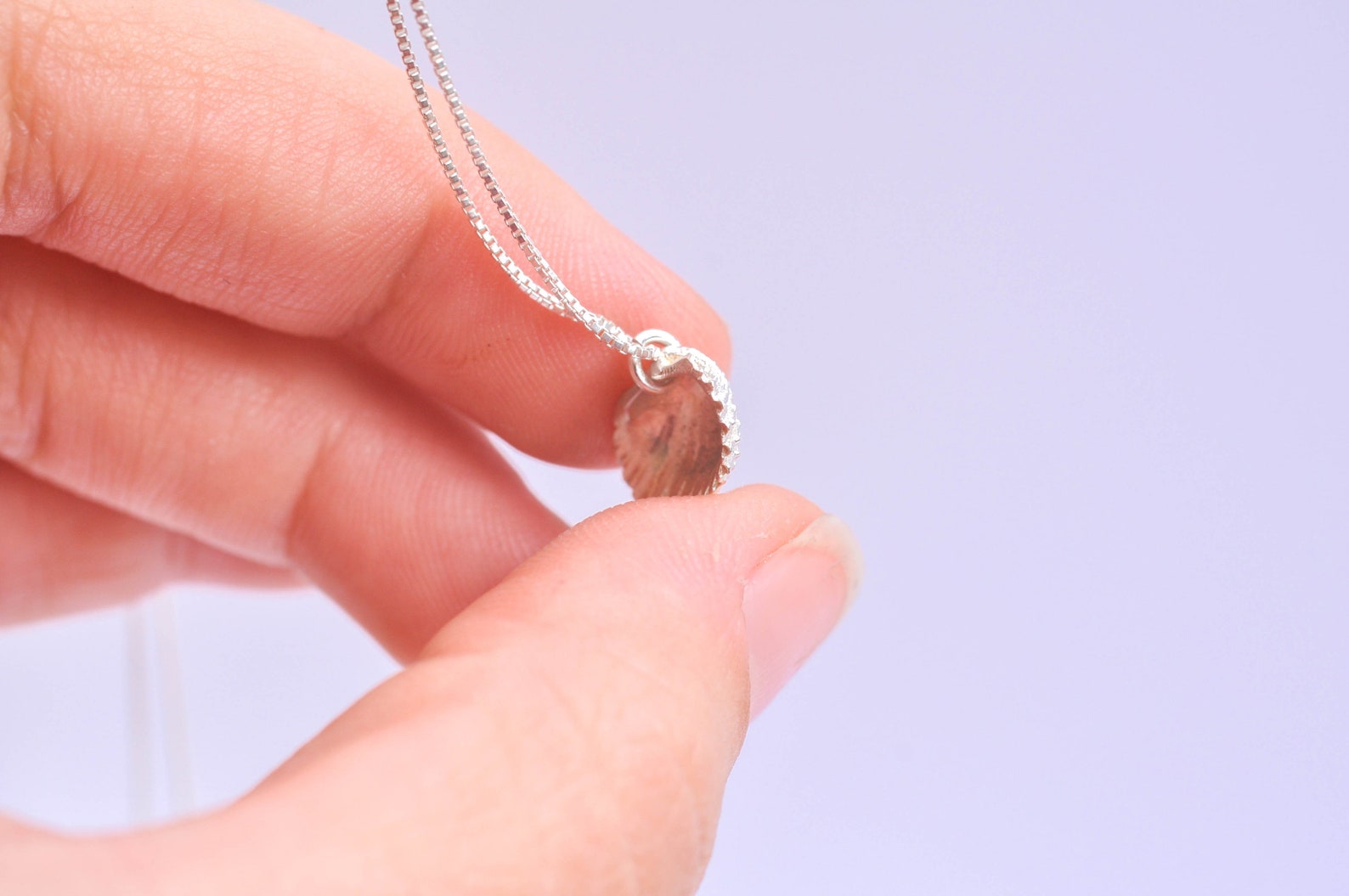 Real Small Shell Necklace, Seashell Necklace, Silver Shell, Dainty ...