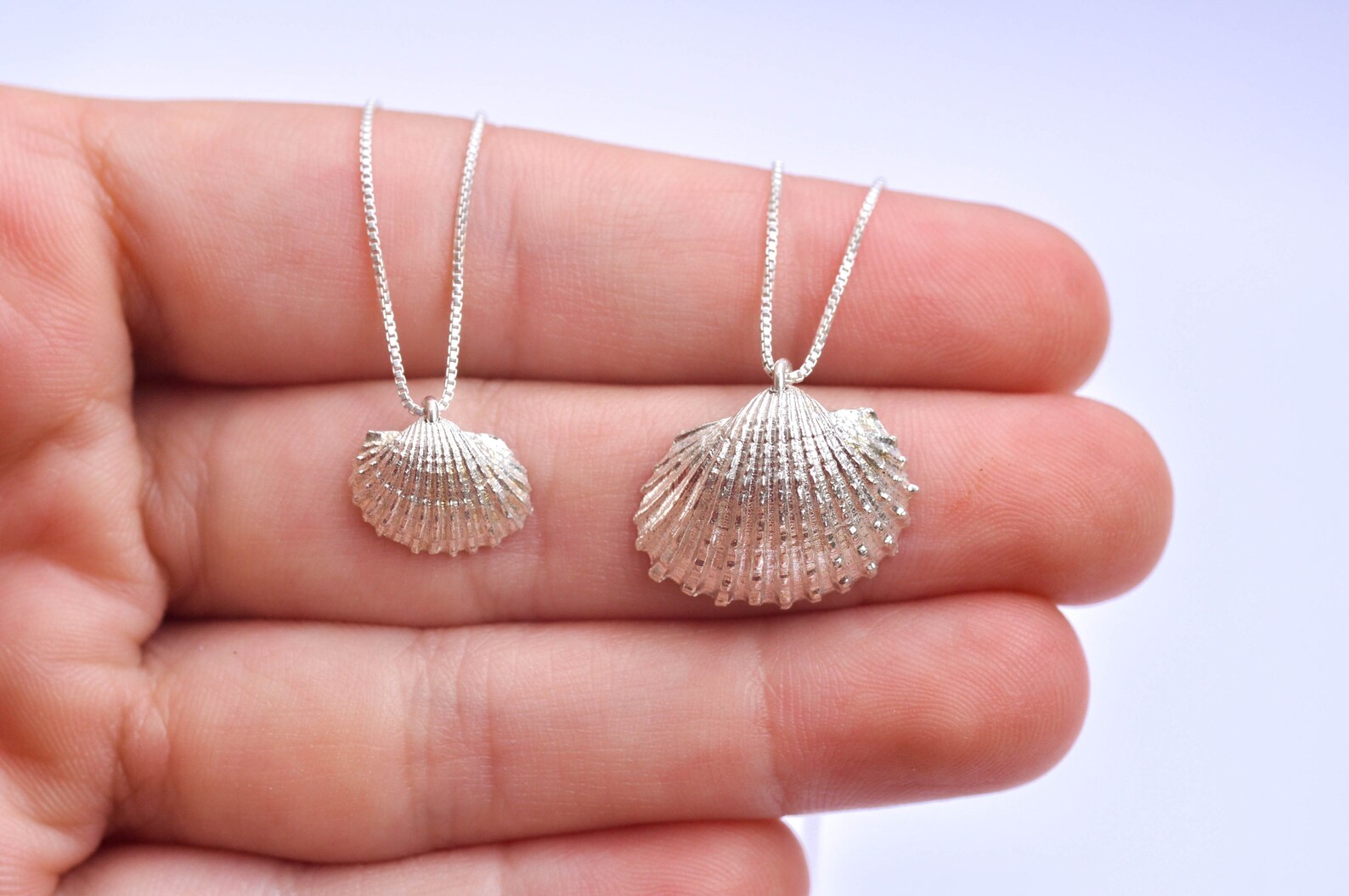 Real Small Shell Necklace, Seashell Necklace, Silver Shell, Dainty ...