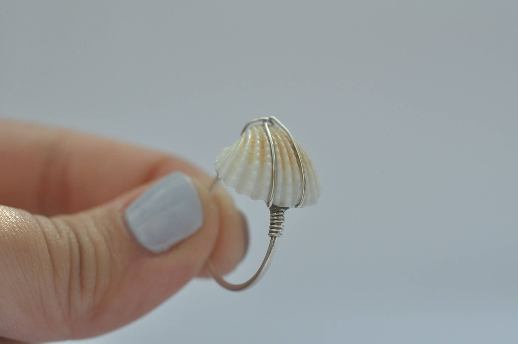 Real shell ring silver ring ocean jewelry beach ring | Etsy