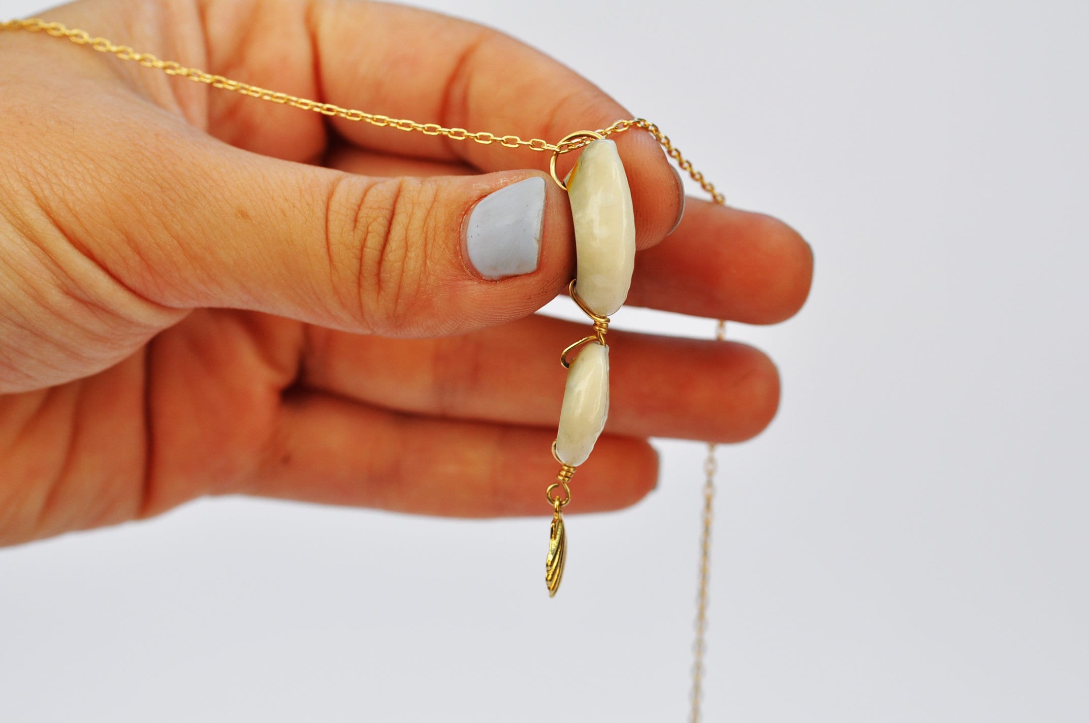 Real Shell Necklace, Shell Necklace, Gold Shell, Dainty Necklace, Shell ...