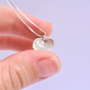 Real Small Shell Necklace, Seashell Necklace, Silver Shell, Dainty ...