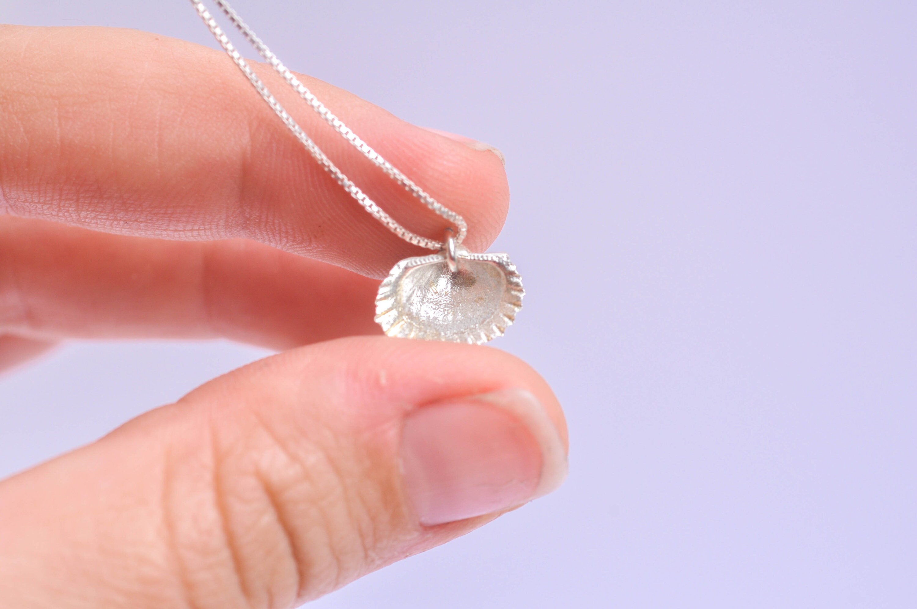 Real Small Shell Necklace, Seashell Necklace, Silver Shell, Dainty ...