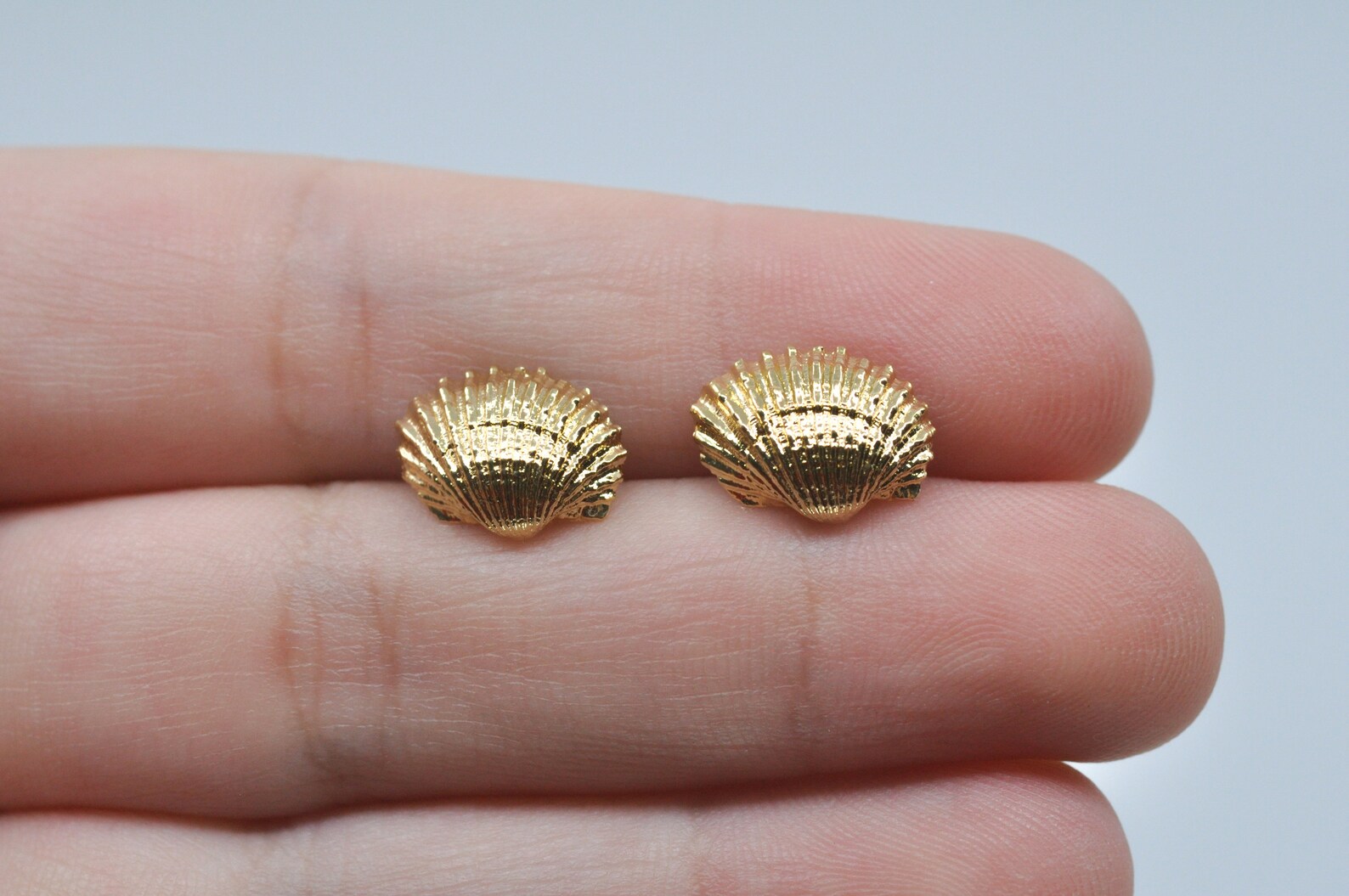 Shell Studs Scalloped Shell Tiny Shell Studs Shell Jewelry - Etsy