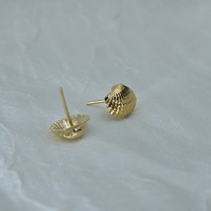 Shell Studs, Scalloped Shell, Tiny Shell Studs, Shell Jewelry, Mermaid Studs, Shell Studs ...