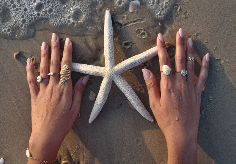 Real shell ring silver ring ocean jewelry beach ring | Etsy