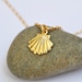 Gold Shell Necklace Seashell Necklace Gold Shell Dainty - Etsy