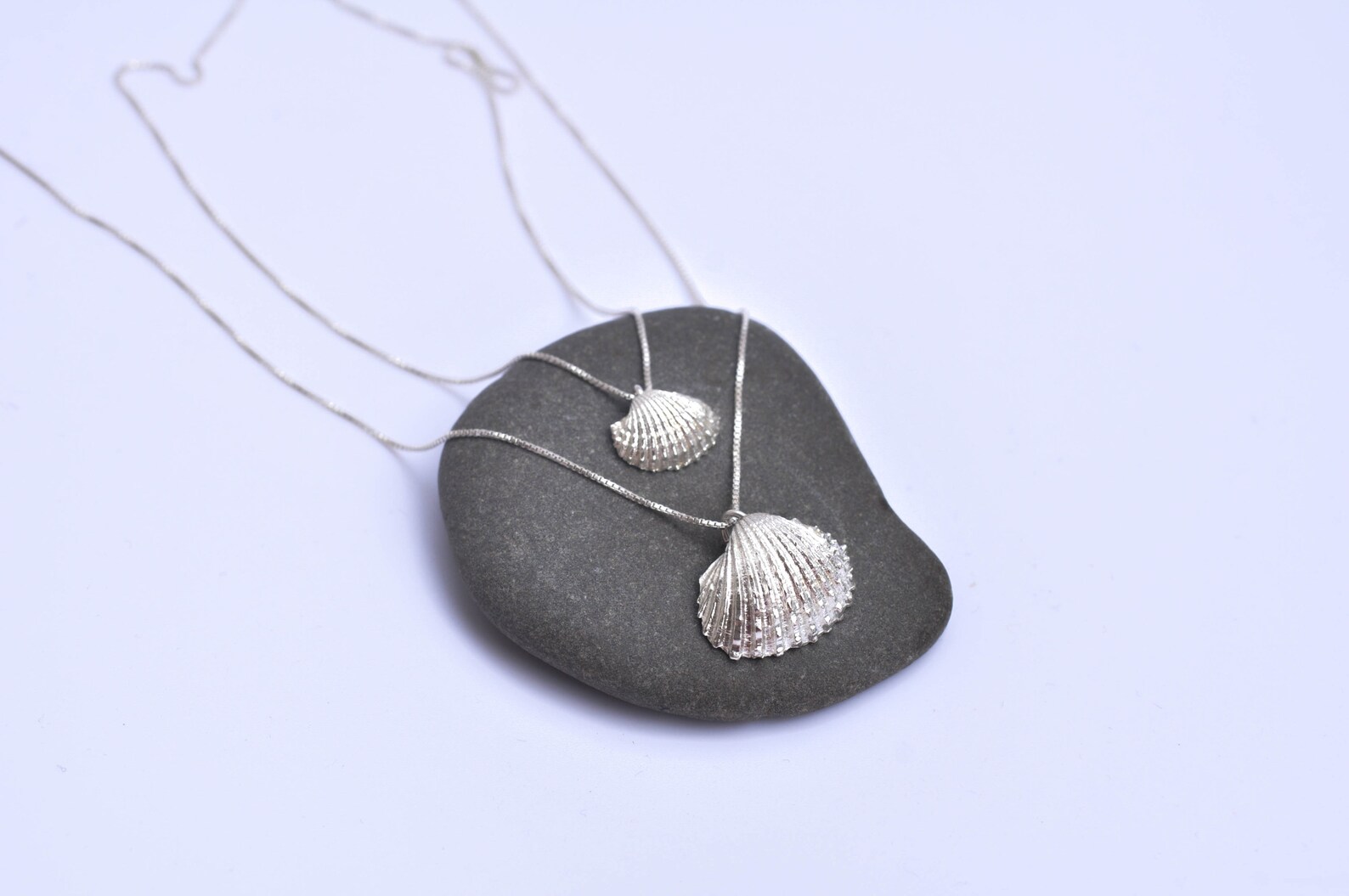 Real Small Shell Necklace, Seashell Necklace, Silver Shell, Dainty ...