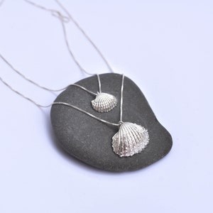 Real Small Shell Necklace, Seashell Necklace, Silver Shell, Dainty ...