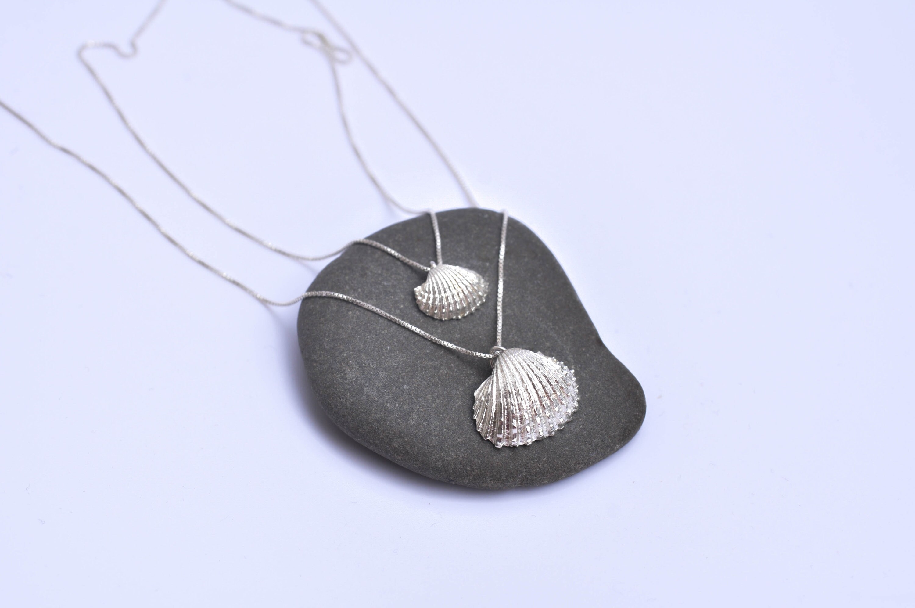 Real Small Shell Necklace, Seashell Necklace, Silver Shell, Dainty ...