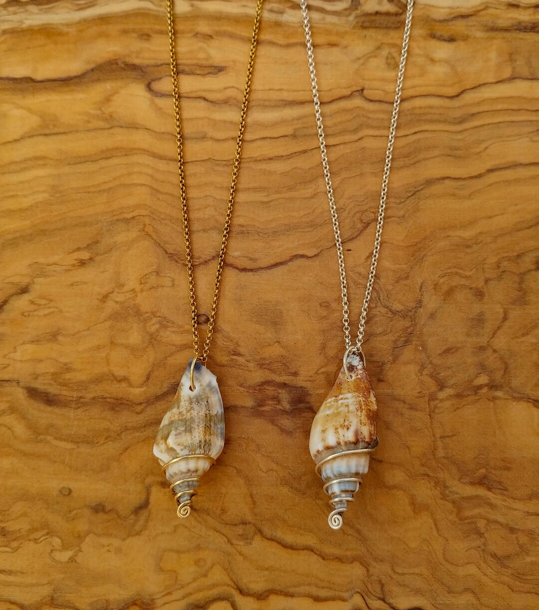 Real Seashell Necklace: Goldfield or Sterling Silver, Ocean Jewelry - Etsy