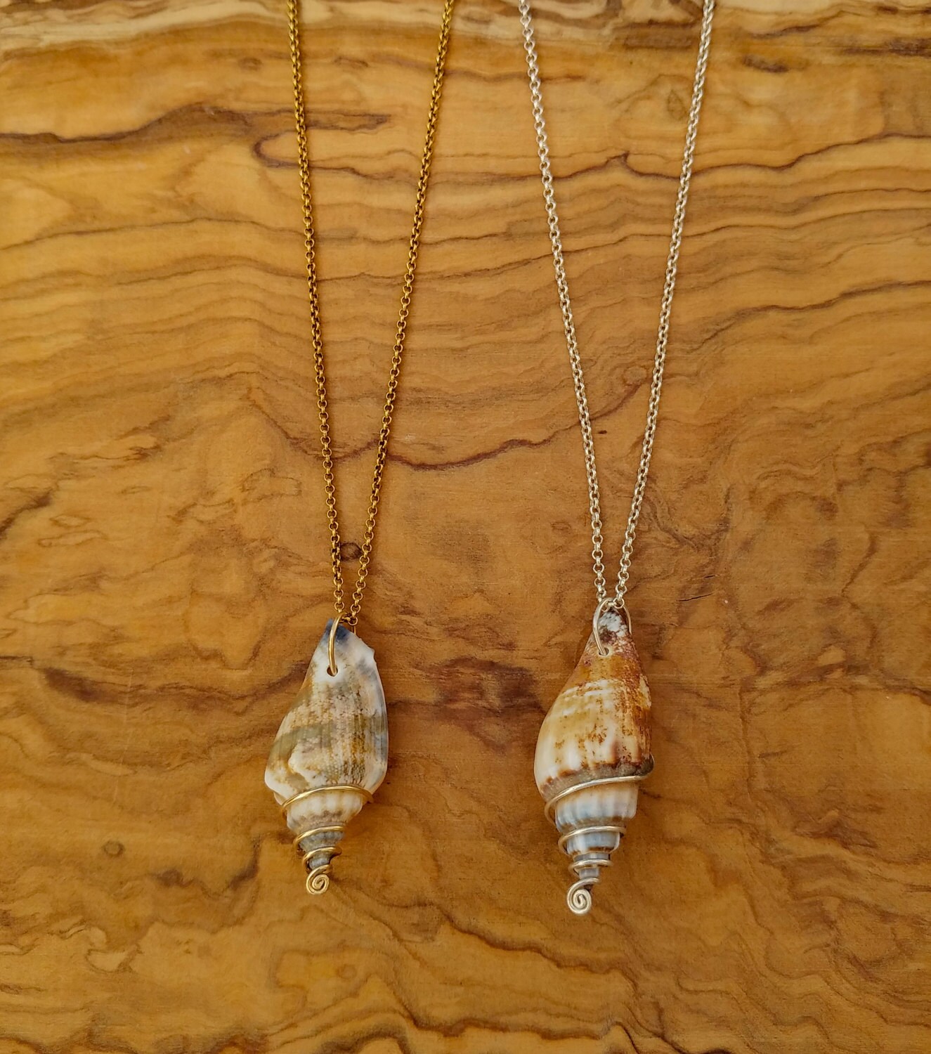 Real Seashell Necklace | Goldfield | Sterling Silver | Unique | Ocean ...