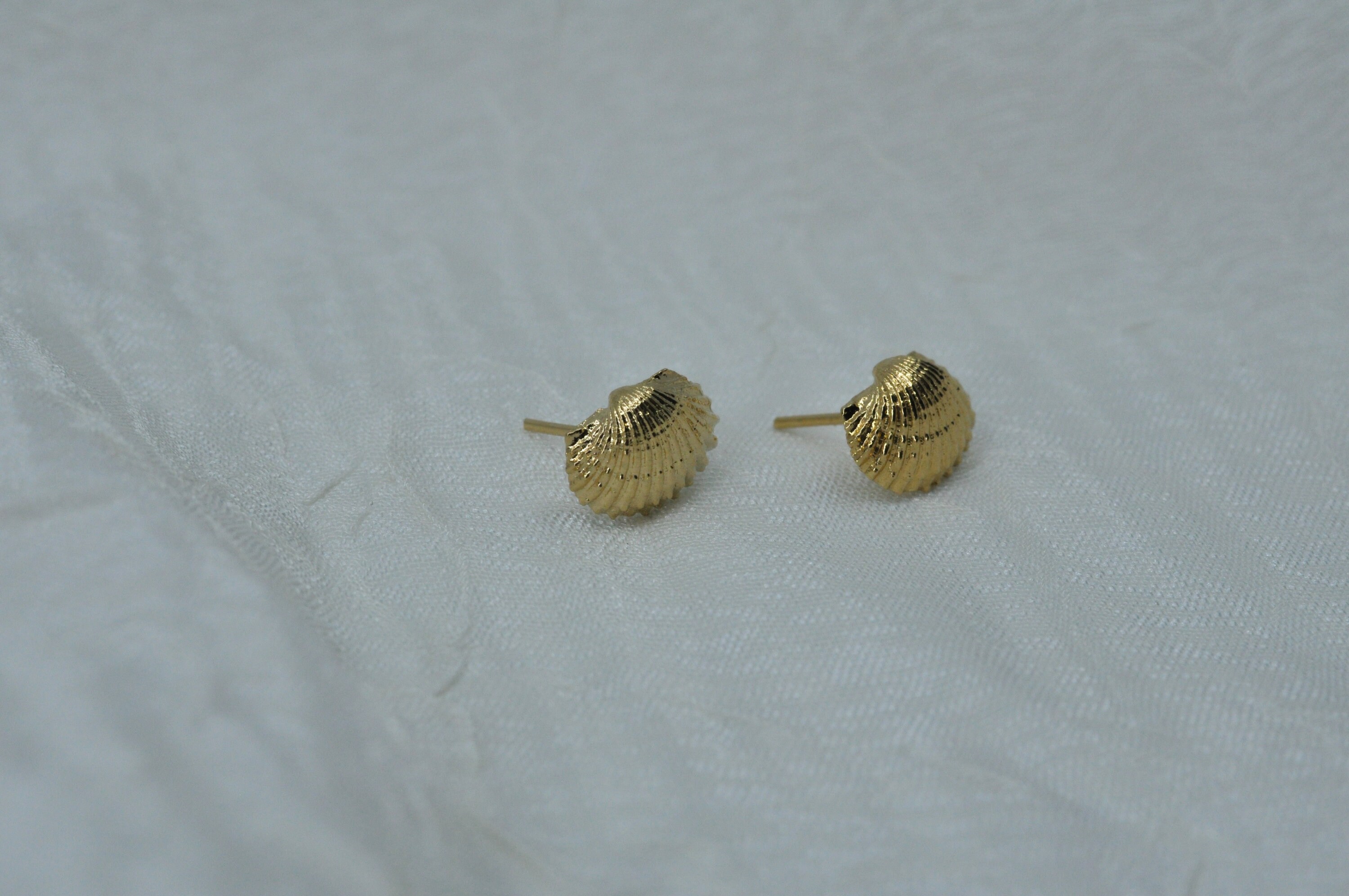 Shell Studs Scalloped Shell Tiny Shell Studs Shell Jewelry - Etsy