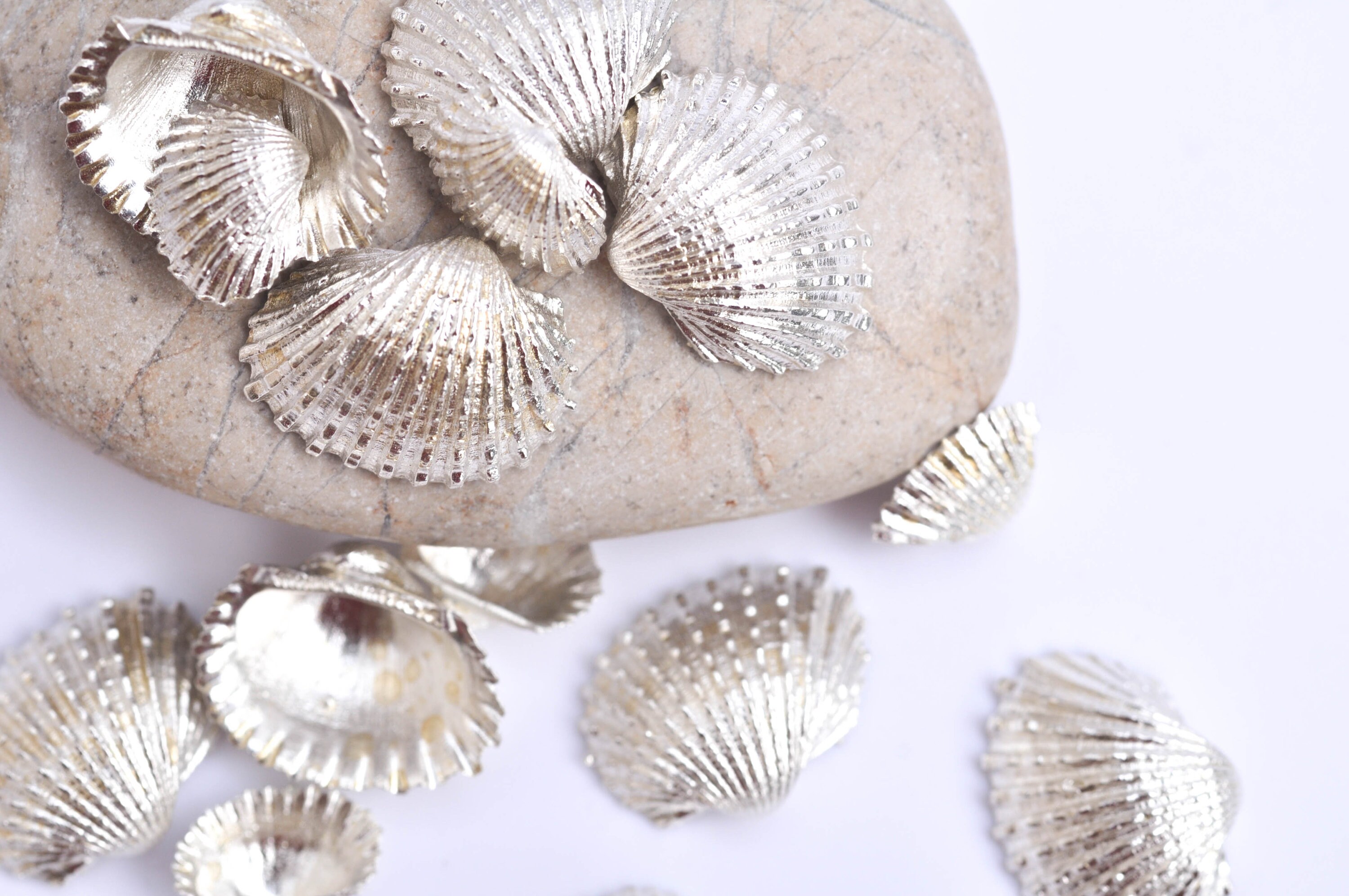 Real Small Shell Necklace, Seashell Necklace, Silver Shell, Dainty ...