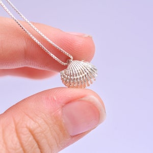 Real Small Shell Necklace, Seashell Necklace, Silver Shell, Dainty ...