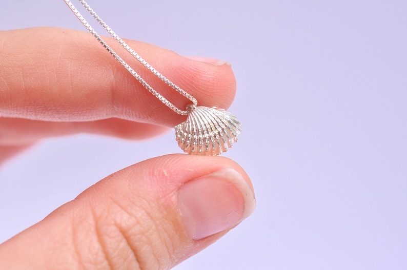 Real Small Shell Necklace, Seashell Necklace, Silver Shell, Dainty ...