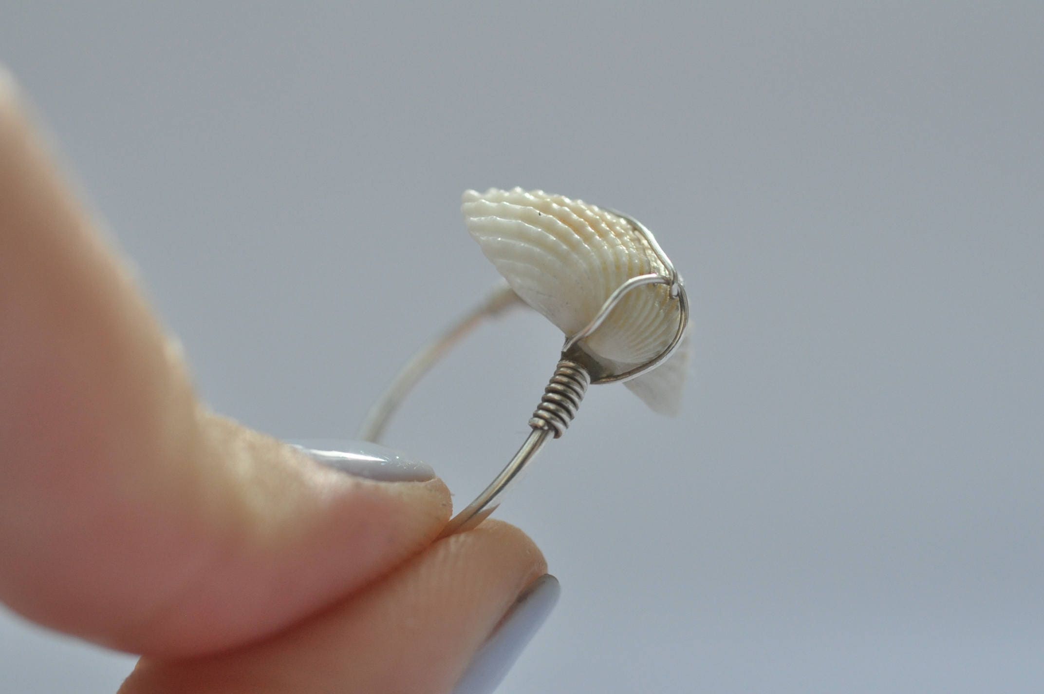 Real shell ring silver ring ocean jewelry beach ring | Etsy