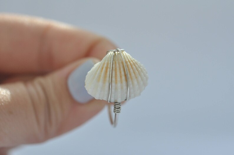 Real shell ring silver ring ocean jewelry beach ring | Etsy