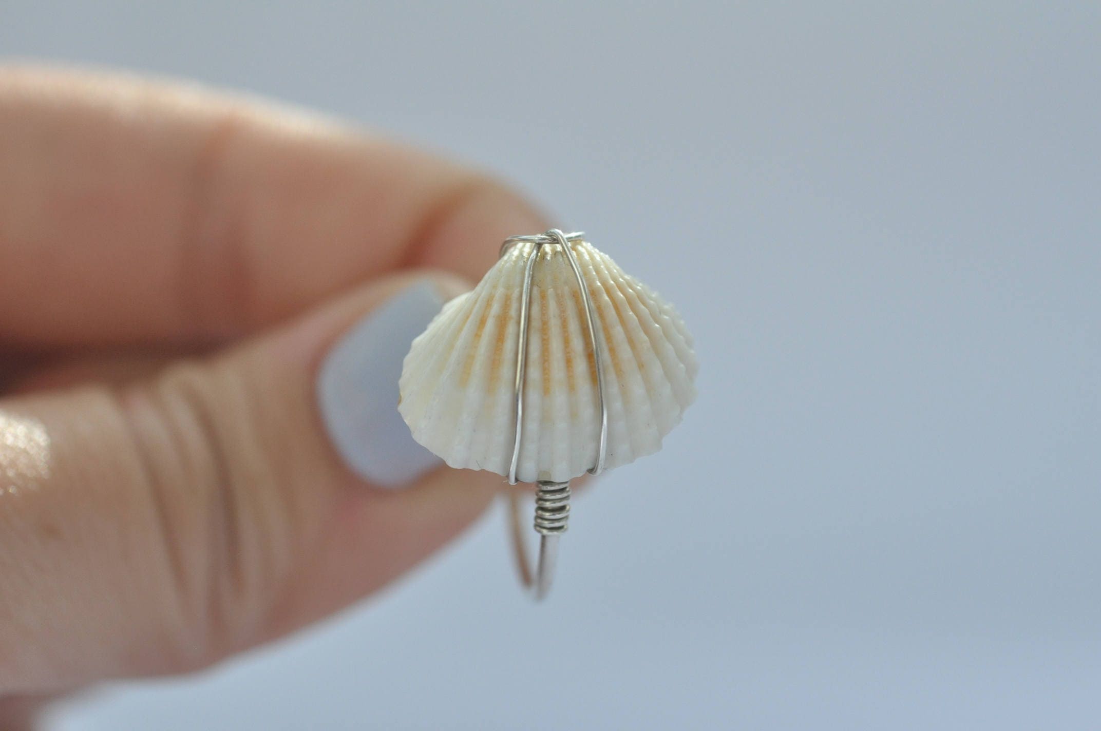 Real shell ring silver ring ocean jewelry beach ring | Etsy