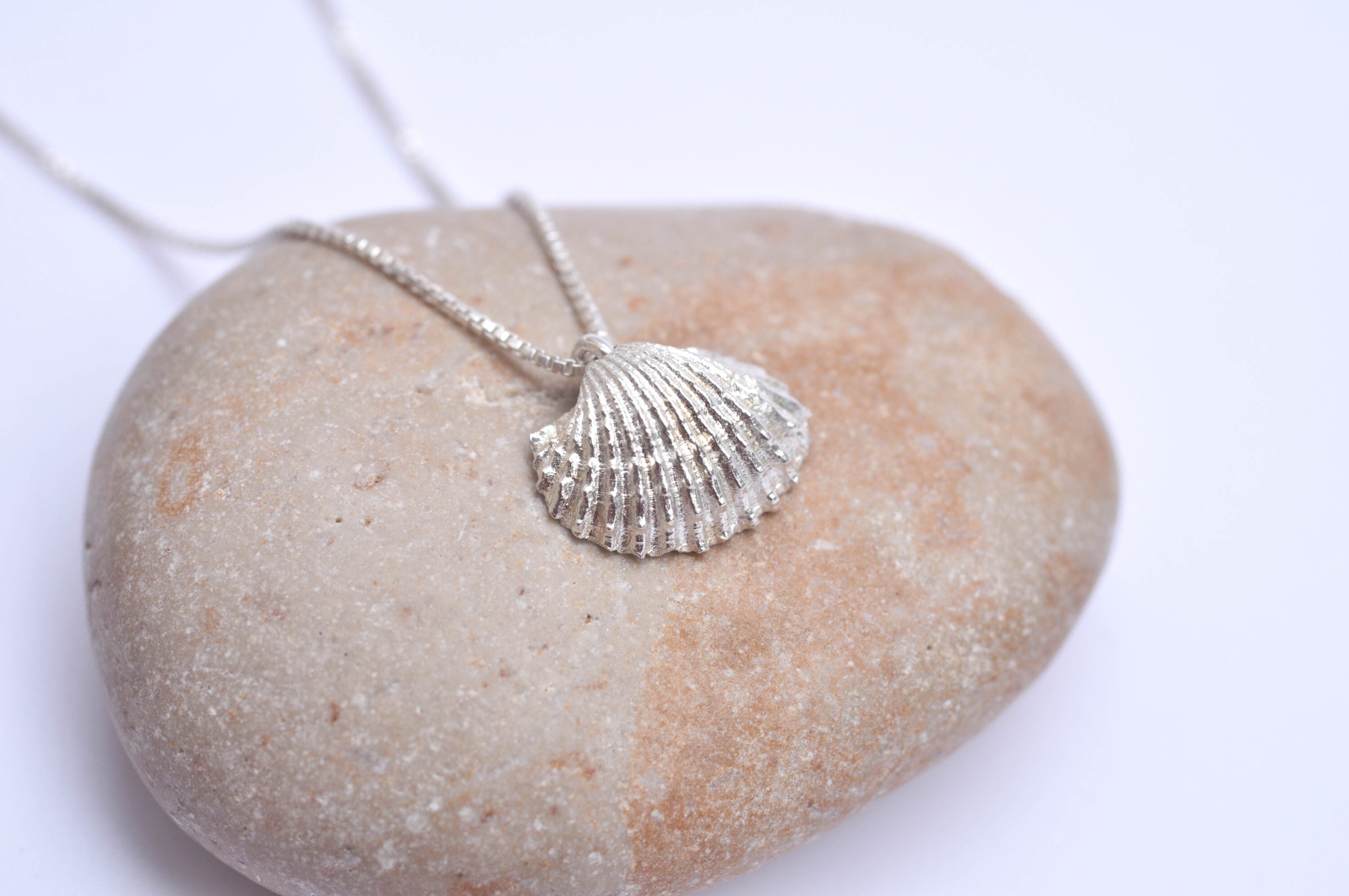 Real Small Shell Necklace, Seashell Necklace, Silver Shell, Dainty ...