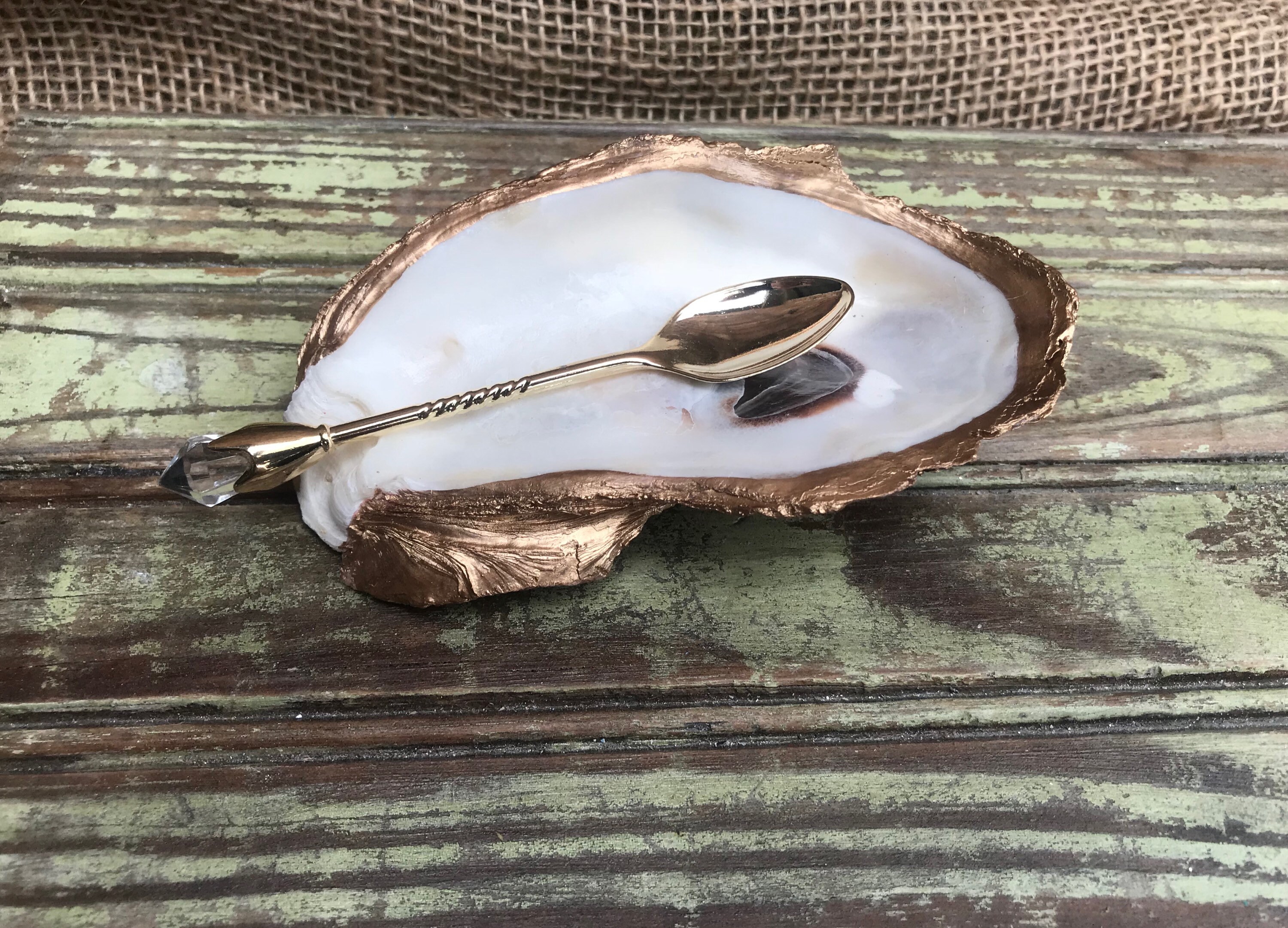 FREE SHIPPING Oyster Shell Coffee Spoon Rest with or W/o | Etsy