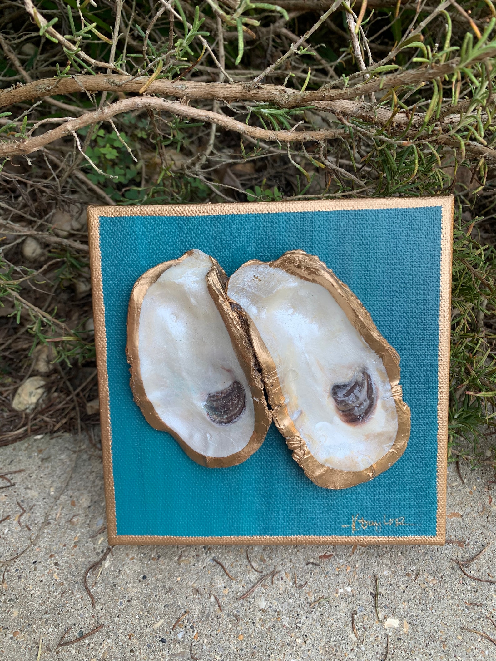Oyster Shell Art on Painted Canvas - Etsy