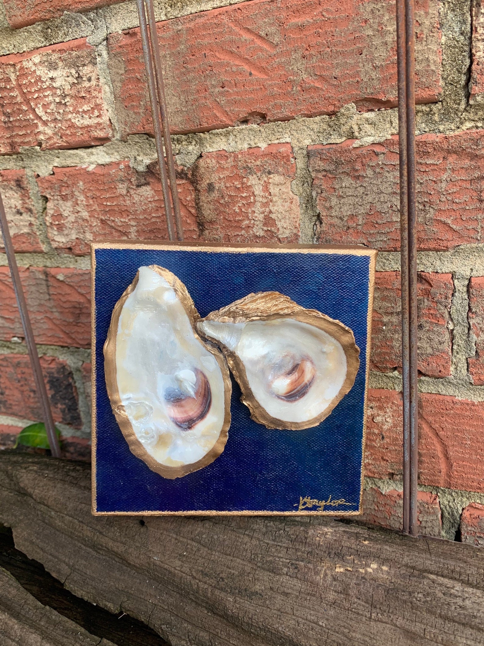 Oyster Shell Art on Painted Canvas - Etsy