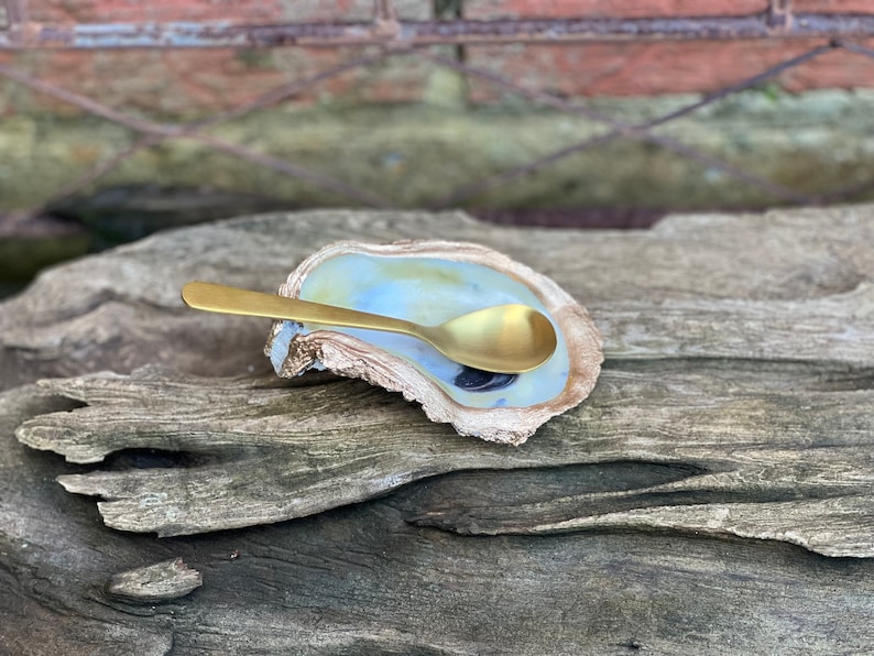 FREE SHIPPING!! Oyster Shell Coffee Spoon Rest (with or W/o Coffee ...