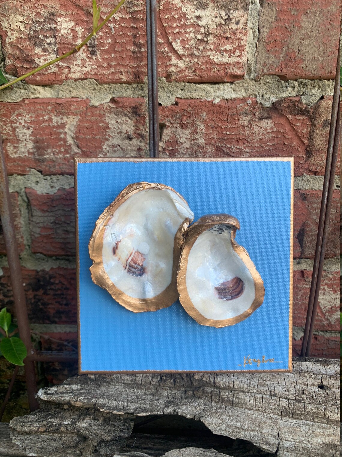 Oyster Shell Art on Painted Canvas - Etsy
