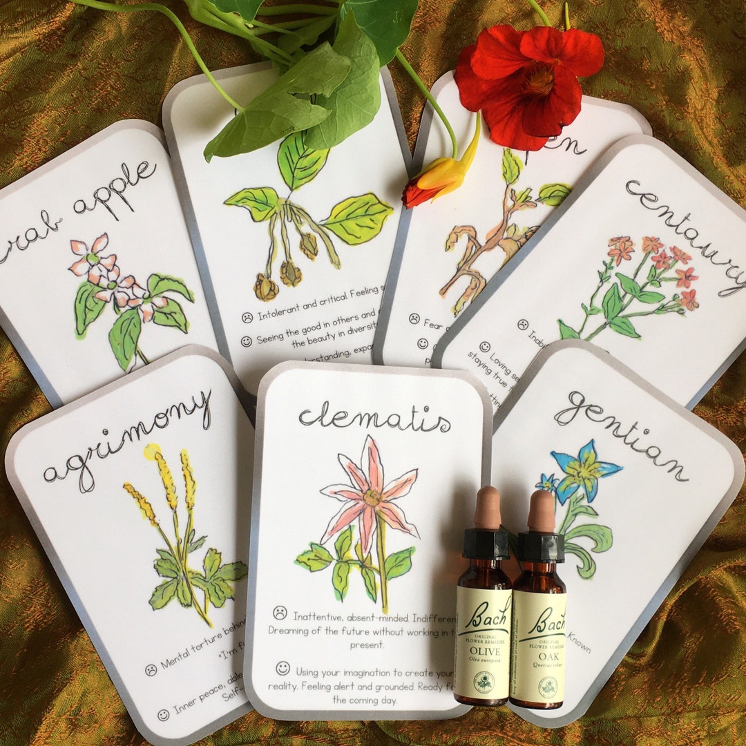 38 Bach Flower Cards PDF - Etsy