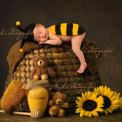 Newborn Digital Backdrop / Boy / Girl / Baby / Beehive / Bee / - Etsy