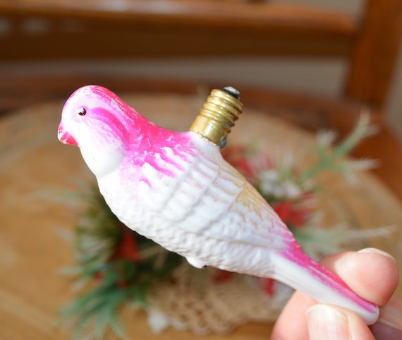 Pink Budgies