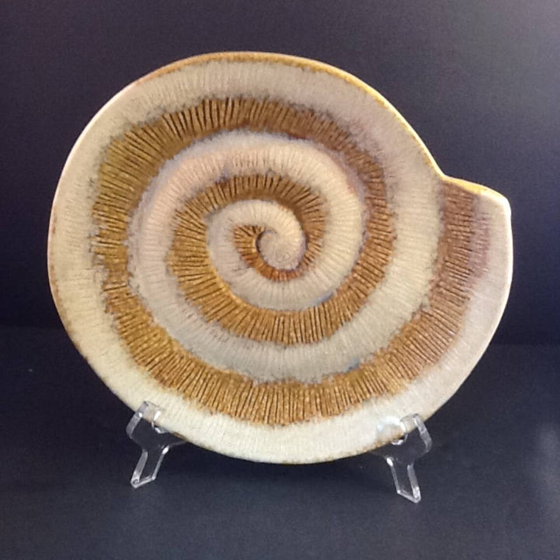 Spiral Ceramic Plate, Ammonite Fossil Shape Vintage Pottery Dish/ Bowl ...