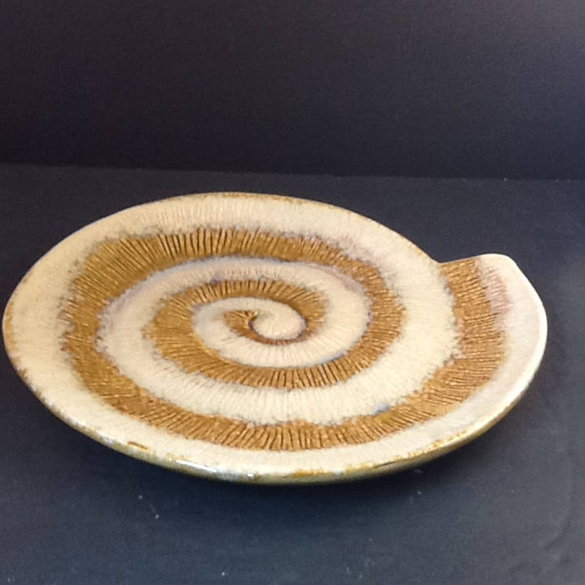 Spiral Ceramic Plate, Ammonite Fossil Shape Vintage Pottery Dish/ Bowl ...
