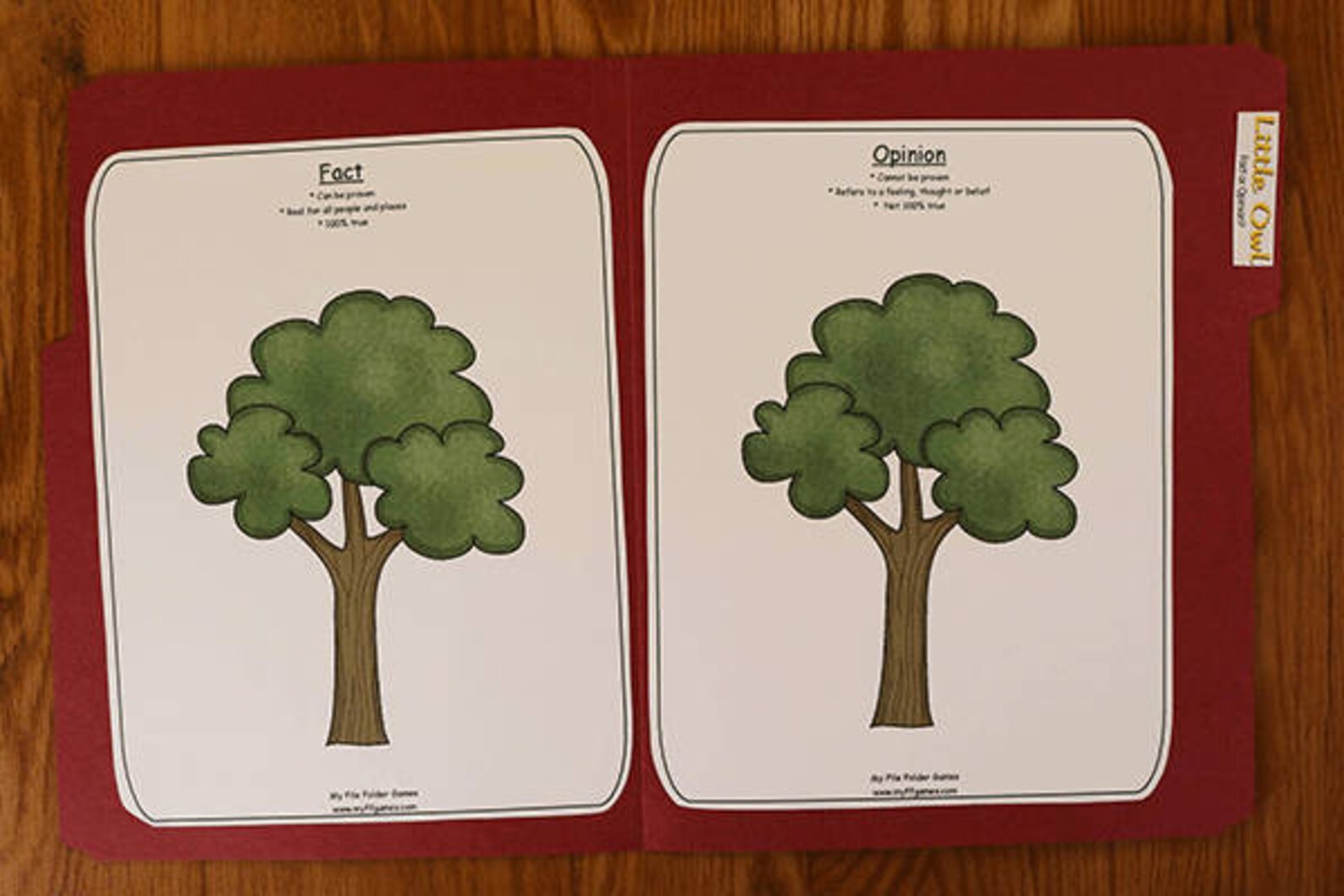 Fact Opinion - File Folder Game - Little Owl - Printable PDF Download ...