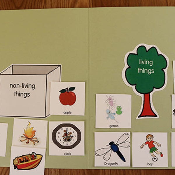 Planet Order Planet Challenge Printable File Folder Game PDF Download ...