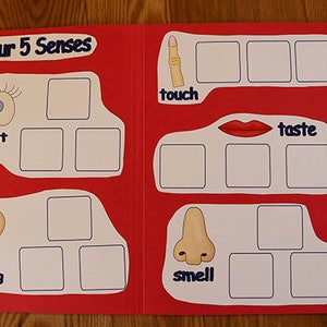 5 Senses - Our 5 Senses - Printable File Folder Game PDF Download ...