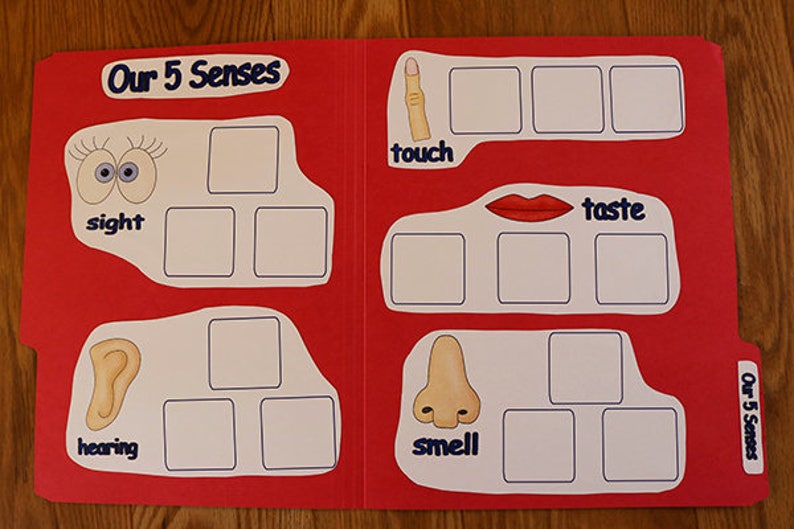 5 Senses - Our 5 Senses - Printable File Folder Game PDF Download ...