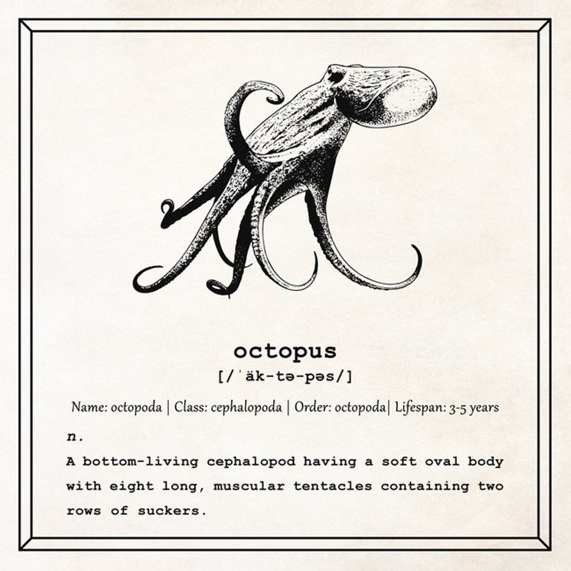 Octopus Wall Art Dictionary Print Octopus Definition - Etsy